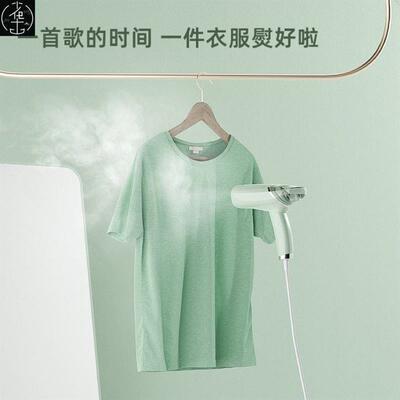 Handheld Steamer Portable Steam Electric iron 220V 1000W