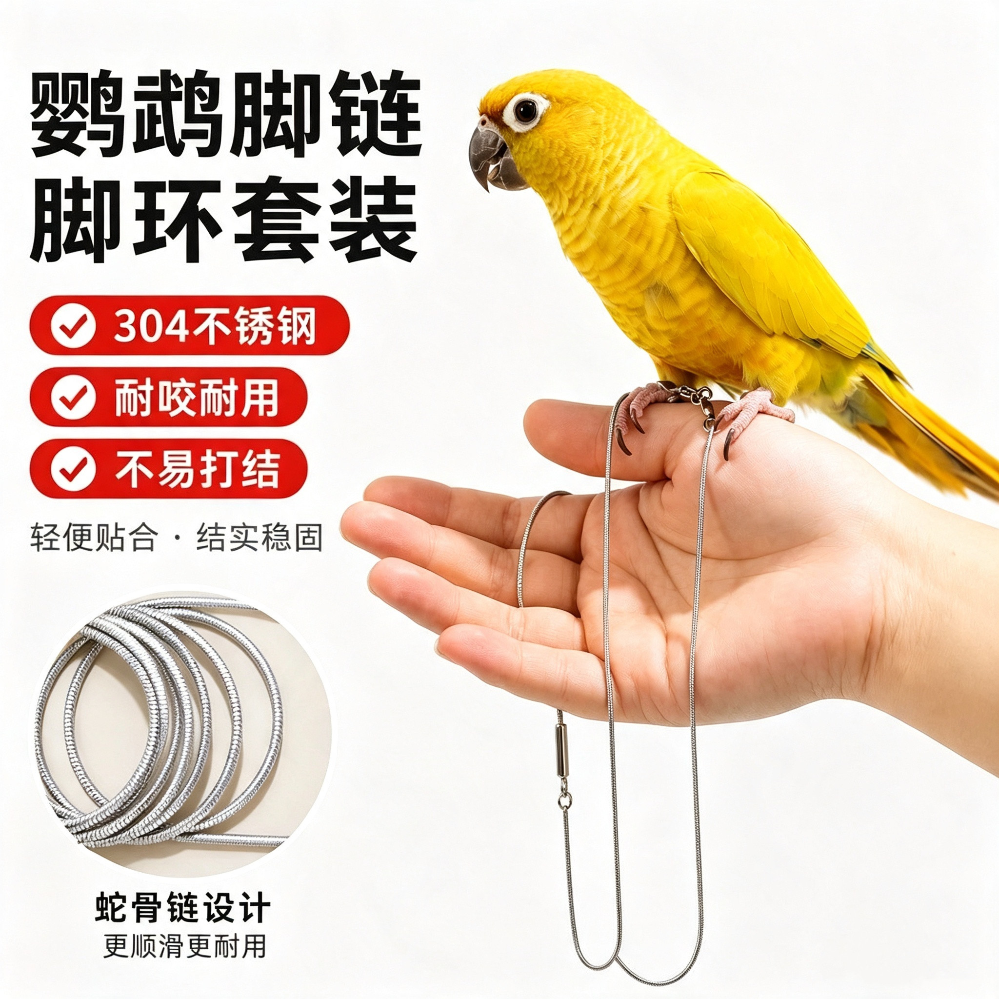 304不锈钢鸟用放飞绳鹦鹉脚链耐咬耐用便携脚环套装蛇骨链不打结