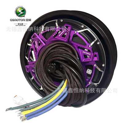 12寸V6风驰8000WP瓦片QSMOTOR全顺电机瓦片48-96V电动车电摩电机