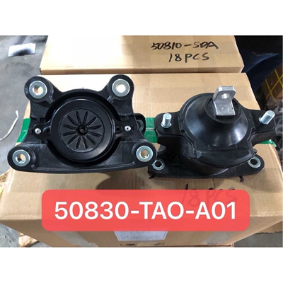 50830-TAO-A01