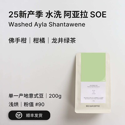 BIG SUR 柑橘 龙井绿茶 2025埃塞班莎圣塔维尼水洗阿亚拉Ayla SOE