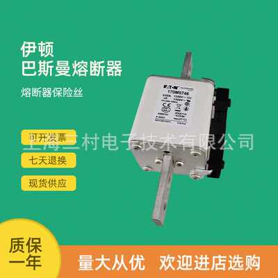 全新原装快速熔断器保险丝170M5743 170M5744 170M5745 170M5746