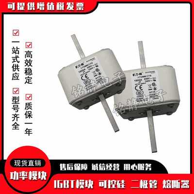 170M6763 170M6764 170M6765现货170M6766巴斯曼熔断器170M6767