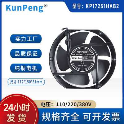工厂定制17251美甲吸尘器17CM散热风扇220V 17250滚珠AC轴流风扇