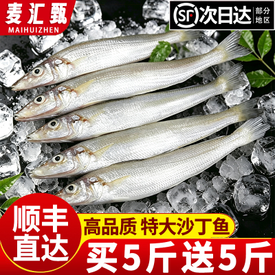 【顺丰上门】新鲜海捕特大沙丁鱼