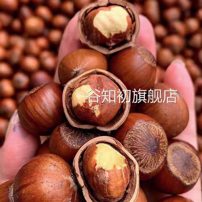 新货东北开 口大榛子薄皮特大榛子原味炒熟坚果特产袋装价
