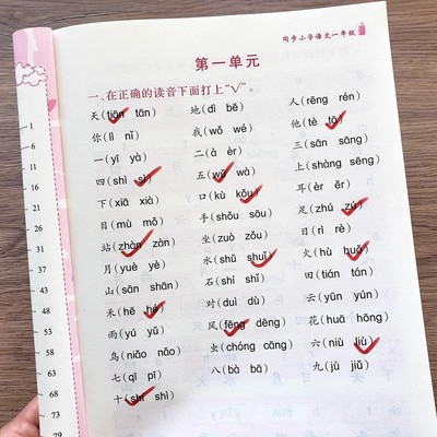 拼音专项训练一年级读音选择