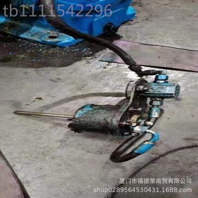 DBE1A齿轮泵P1AAN0025FL2K0TWK 0N