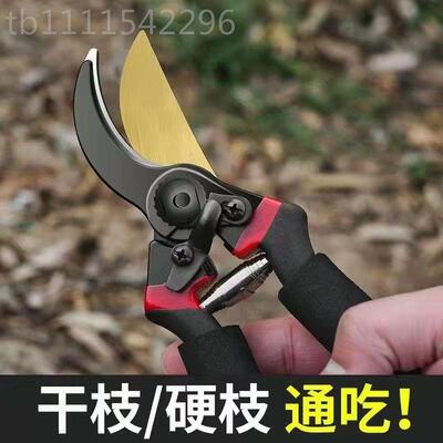 园剪林果树条剪家强力粗枝剪SDZ用省力滑枝轮修枝剪树枝神器