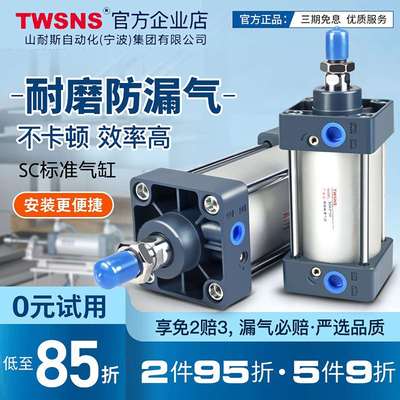 TWSNS台气山耐斯标准气缸SC大推力气缸32x40x50x63x80x100x120