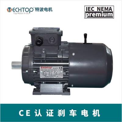 磨刷马达TECHTOPT3CRB90S-60.8KW刹车电机UL/CSA出口认证
