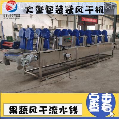 全自动翻转DQS干机 多功式能装袋风干流水线包 果风蔬震动沥水风