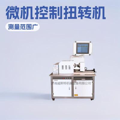 厂家直销WST-ZJ200微机控制涨紧轮涨紧器弹簧扭转疲劳试验机