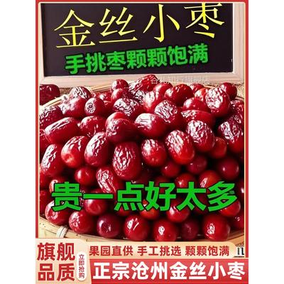 【河南许昌超市】正宗沧州金丝小枣红枣新货河北官方旗舰店正品