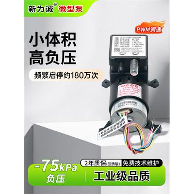 无油电动隔膜泵12V微型真