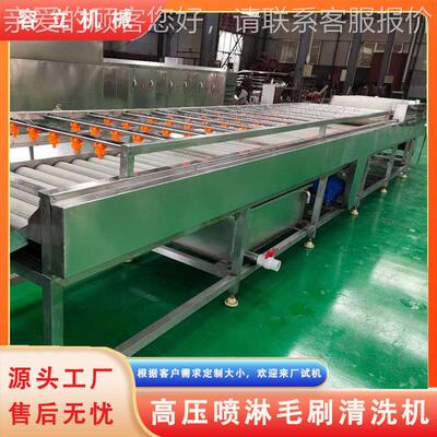 商用药材去天头麻清洗PYK 毛刷式贝母青瓜去杂机 连续式芋清洗机