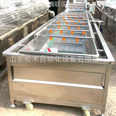 不钢TKN果蔬气泡毛清洗机商辊用中番茄红枣清洗机器锈房洗菜机