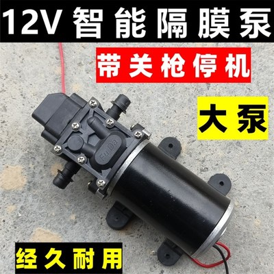 12V大泵 电动喷雾器智能高压隔膜泵打药机配件电机洗车器自吸水泵