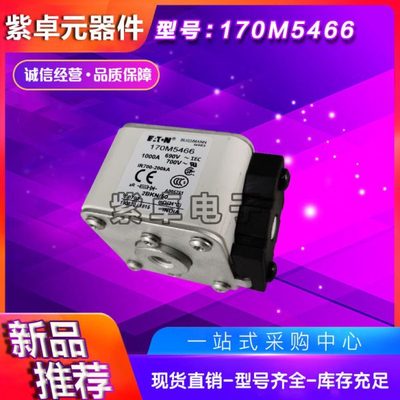 170M5413 170M5414 170M5415 170M5416 170M5417 170M5418熔断器