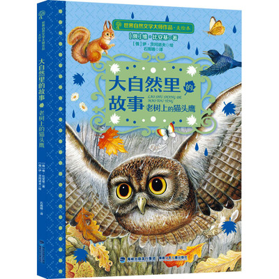 大自然里的故事 老树上的猫头鹰 福建少年儿童出版社 (俄罗斯)维·比安基 著 石雨晴 译 (俄罗斯)伊·茨冈诺夫 绘