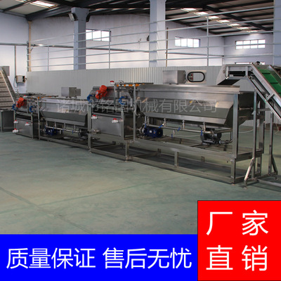 厂家直供 龙须菜清洗机 大型蔬菜涡流清洗机  304不锈钢洗菜机