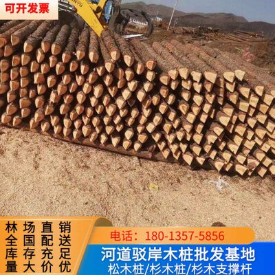 松木原木桩 河边护坡实木打桩木落叶松围堰木桩 带皮杉木圆木头桩