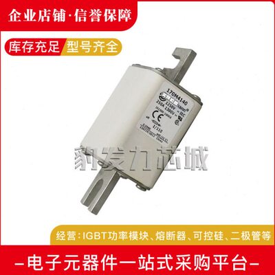 170M4138/4139/4140/4141/4142/414/4144/4145/4146/4147熔断器