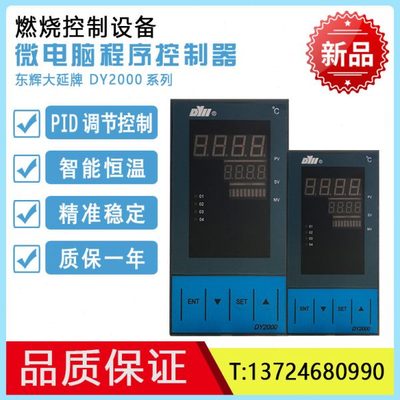 现货供应东辉仪表 东辉大延仪表 DY2000东辉智能数字显示仪表