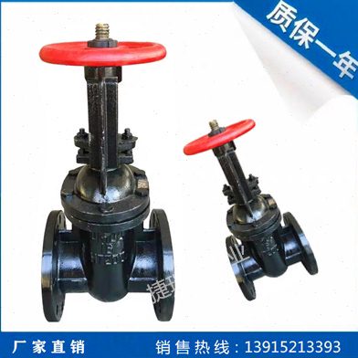 Z41T-16/10铜芯铸铁法兰明杆闸阀DN50 65 100 200 400 150 125