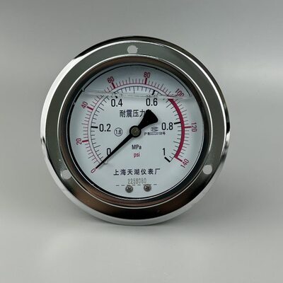 上海天湖YN-100ZT轴向带边耐震压力表 充油抗震0-1 1.6 25 40MPA
