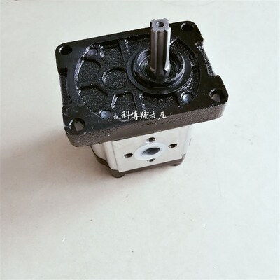 SDH上海大众齿轮泵液压油泵CBTt-F316F3HL CBTt-F310F3H/L液压泵