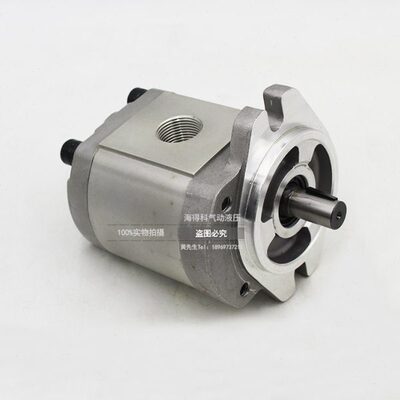 齿轮油泵P208RP01DT P204/6/211/214/216/219/222/225/233RP01DT