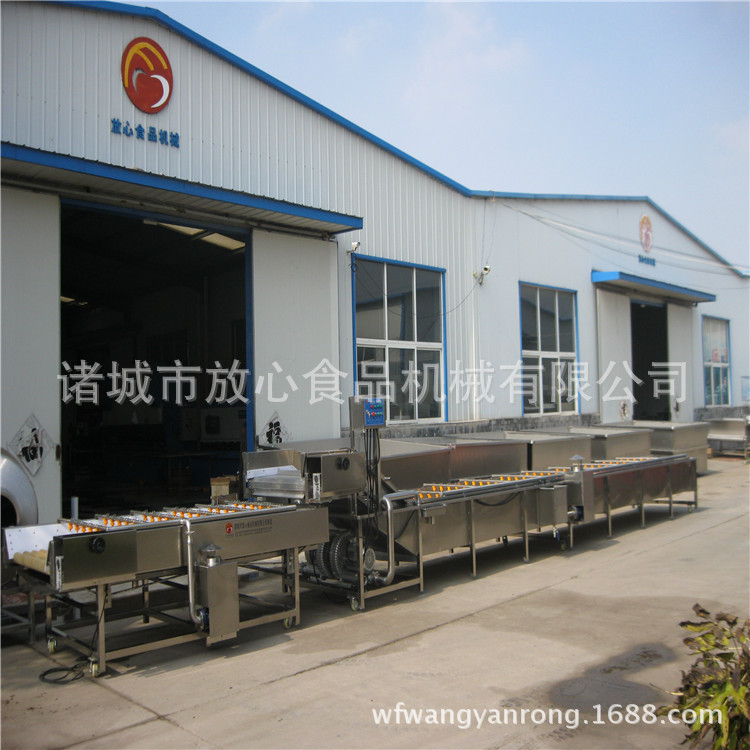 蔬菜清洗加工流水线 蔬菜基地用蔬菜清洗机 农产品合作社用设备