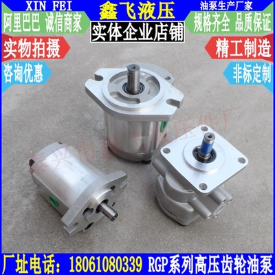 RGP-F201R F202R F203R F204R F205R F206R F208R-12 L-12齿轮泵