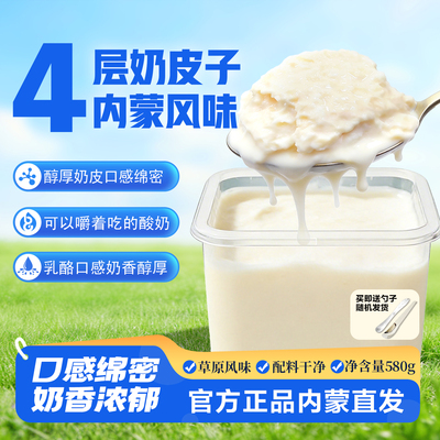内蒙古正宗奶皮子酸奶特产低温酸奶制品浓醇奶香大桶装580g 1000g