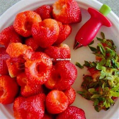 accessories red strawberry huller strawberry top红草莓脱壳机