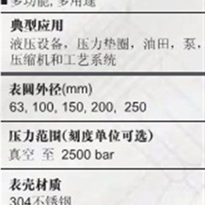 倍润WINTERS供应PFN系列高品质可充油式不锈钢表EN 873-1标准