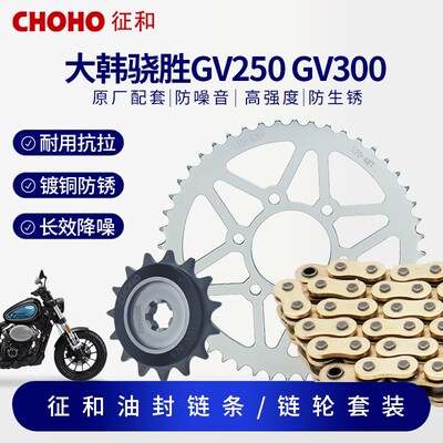 适用大韩骁胜HYOSUNG GV250 GV300S征和油封链条牙盘静音降噪套链