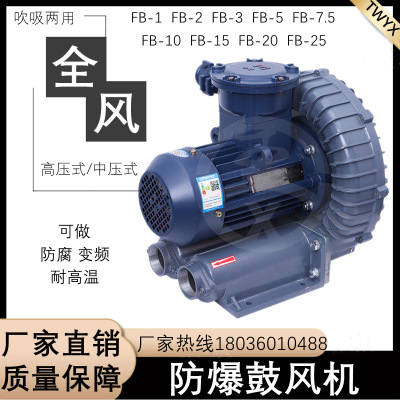 2.2KW防爆防腐蚀高压漩涡风机FB-3气体输送粉尘吸附2200W隔爆风泵