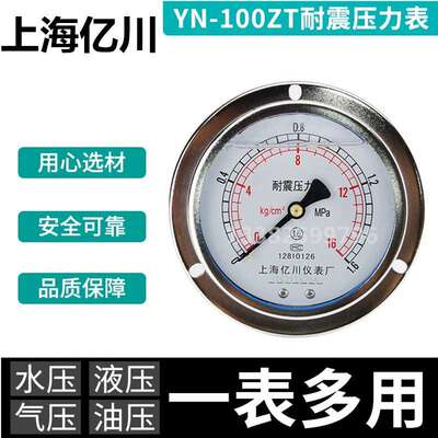 YN100ZT轴向带边耐震压力表0-0.6/1/1.6/2.5/6/10/16/25/40/60MPA
