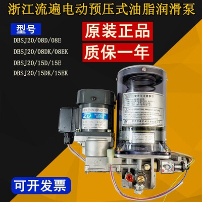 浙江流遍电动卸压式油脂润滑泵DK精雕机黄油泵DBS-J20/15D08E08EK