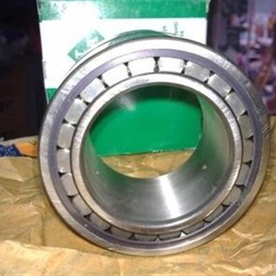 德国INA轴承进口轴承SL04-5026-PP-2NRSL045026PP2NRSL045026