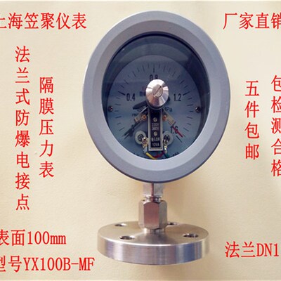 法兰式隔膜防爆电接点压力表 YX100B-MF YX160B-MF 1.6MPA DN15