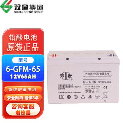 双登铅酸-免维护蓄电池12V6-GFM-40/G6-GFWWVM -656-FM100AHUPS电
