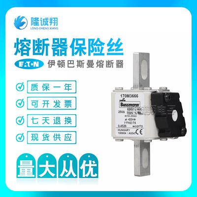【熔断器保险丝】170M3666 170M3667 170M3668 170M3669 170M3670