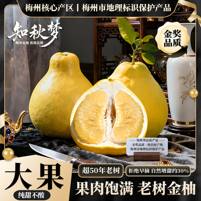 超9182人推荐！梅州金柚沙田柚