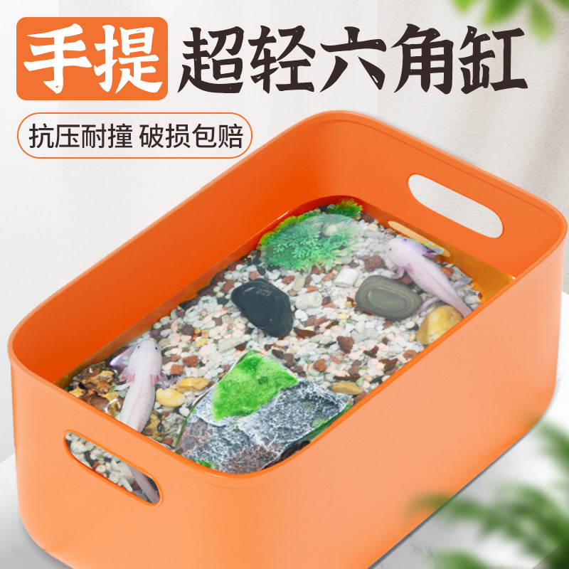 手提生态瓶创意微景缸寄居蟹饲养箱乌龟缸小型鱼缸六角恐龙鱼专用
