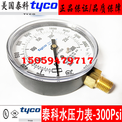 美国泰科水压力表湿式报警阀专用配件300psi水压力表FM认证压力表