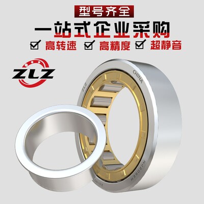 洛阳圆柱滚子轴承NJ1005 NJ1006 NJ1007 NJ1008 1009 1010 1011EM