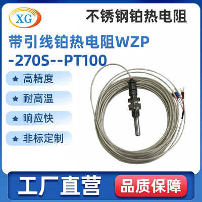 铂热电阻,带引线铂热电阻WZP-270S/PT100